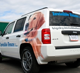 Invisible Fence Decals · SCS Wraps
