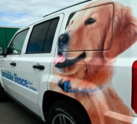 Invisible Fence Decals · SCS Wraps