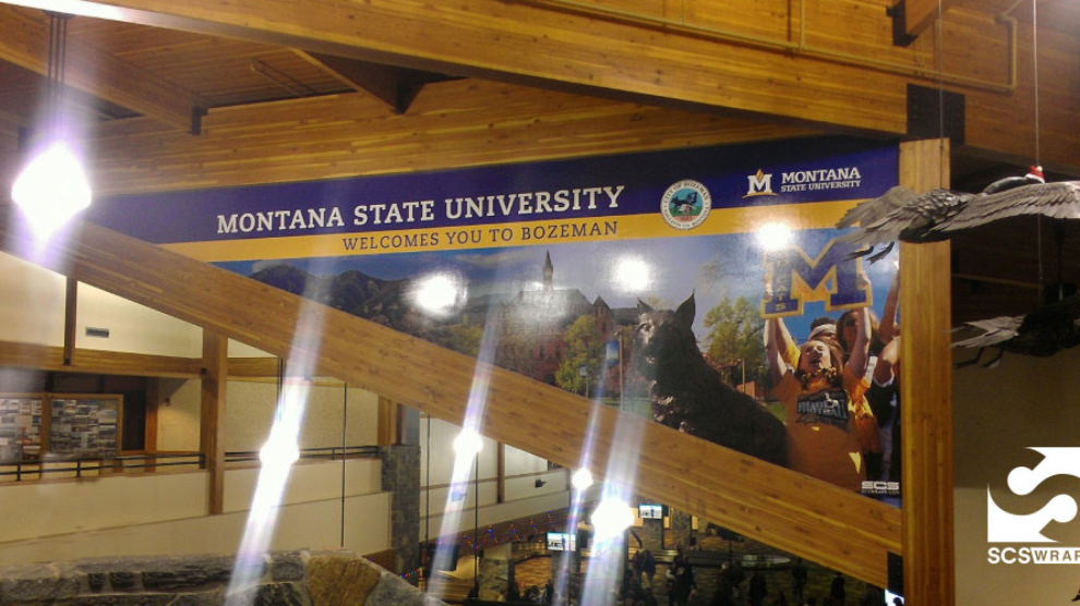 MSU Bozeman Airport Wall Wrap · SCS Wraps