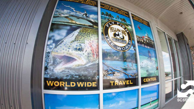 Window Display · SCS Wraps