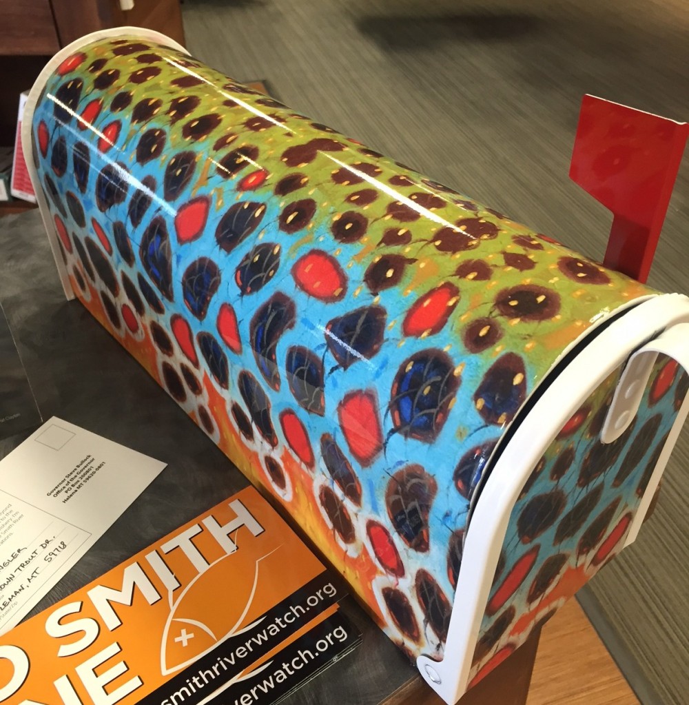 Custom DeYoung Wraps · SCS Wraps