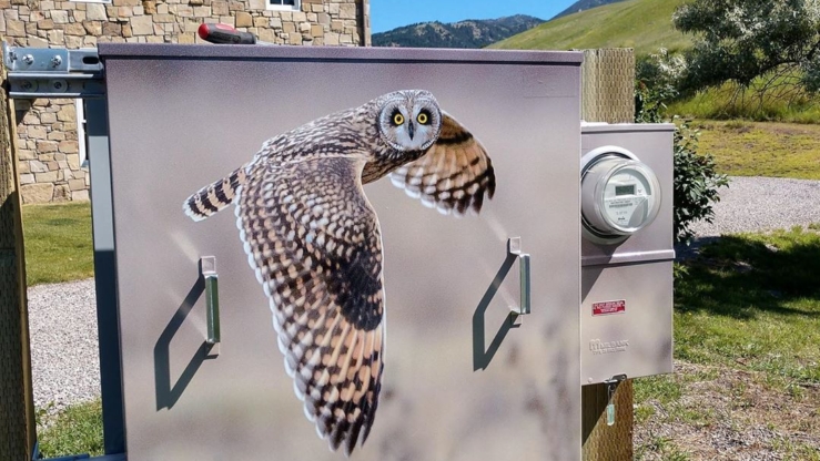 Vinyl wrap on utility boxes · SCS Wraps